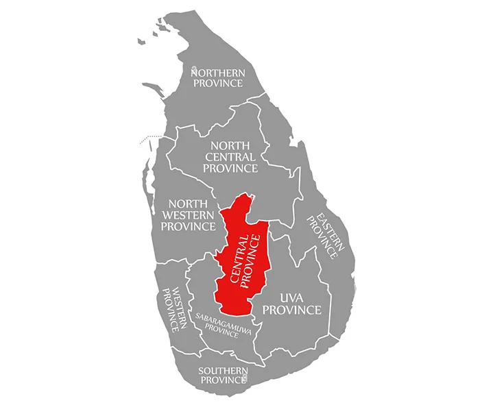 Central Province Falls to 8th in 2025 A/L Rankings, Second from Bottom ...
